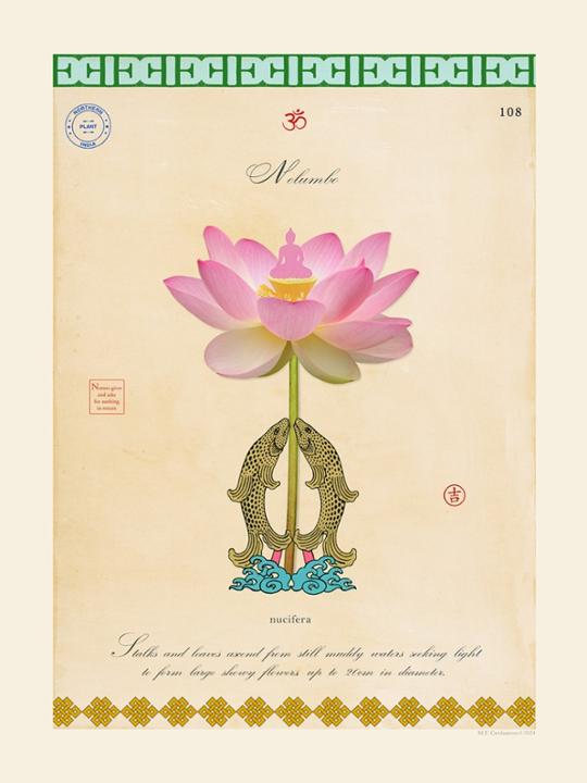 MF Cardamone: "_Lotus with Fish_" Art Print | Powered by Givergy