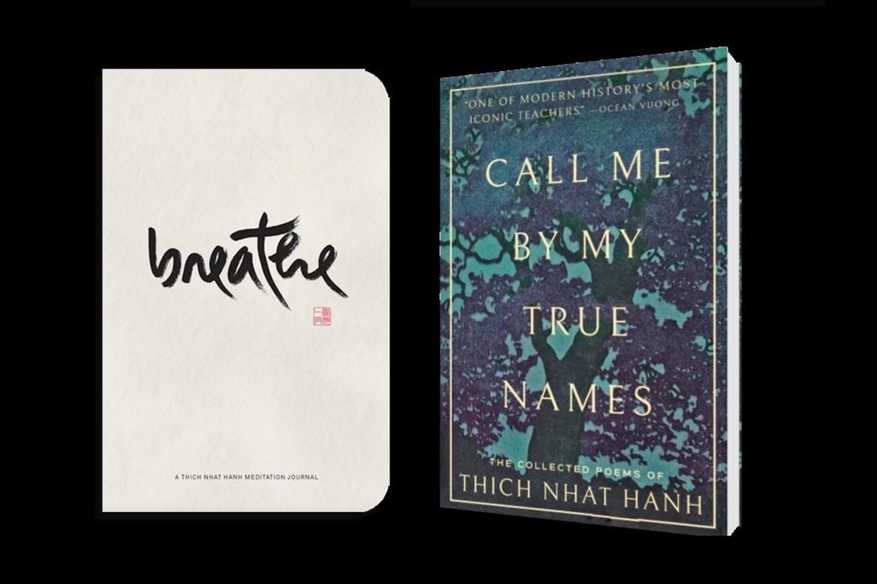 Parallax: _Call Me By My True Names_ & Journal | Powered by Givergy