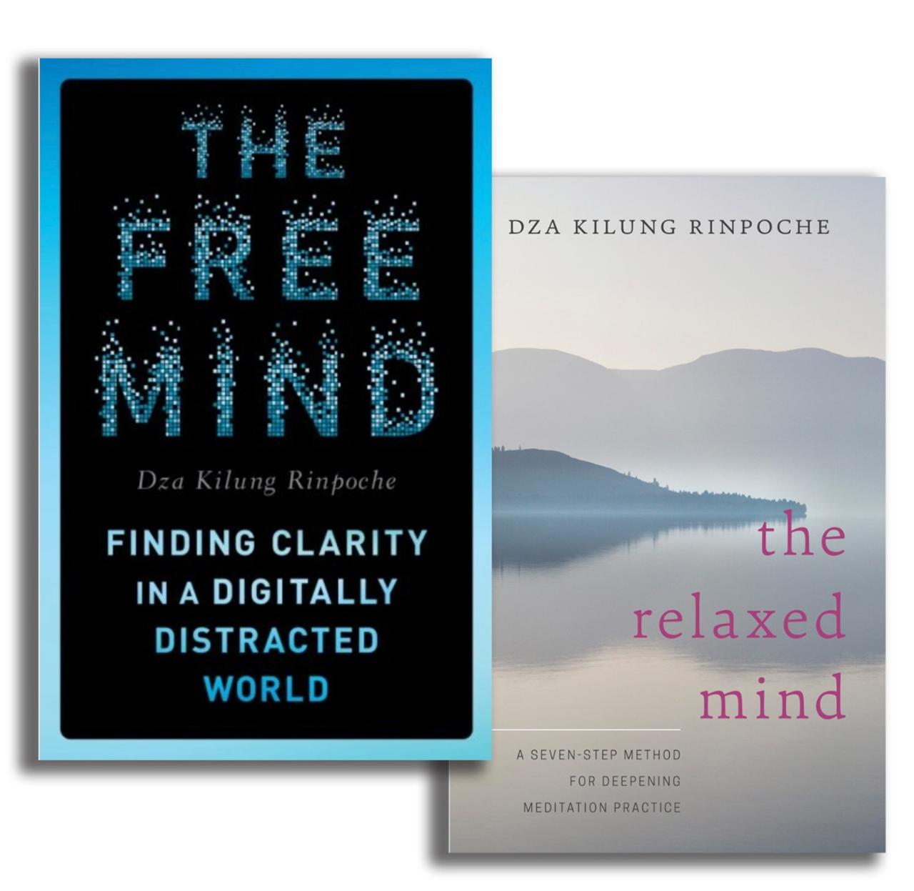 Shambhala Pubs: Dza Kilung Rinpoche Set | Powered by Givergy